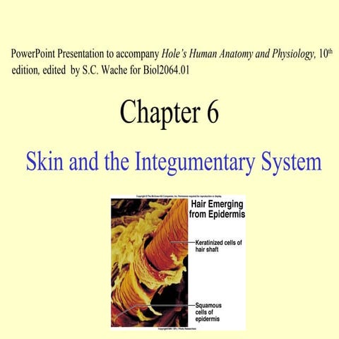 Ch6 Ppt Lect | PPT