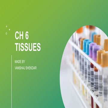 Ch6 Tissues-Class 9-Biology-Science-NCERT-CBSE.pptx