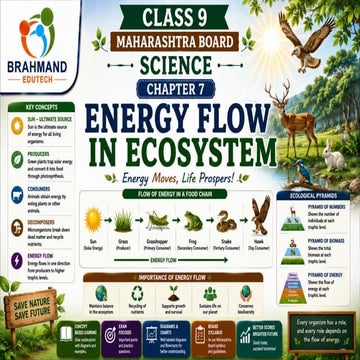 Ch 7. Energy Flow in Ecosystem| Science| Class 9| Maharashtra State ...