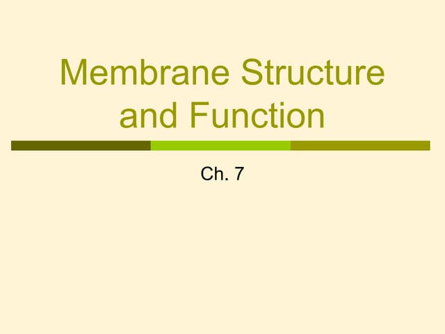 Cell membrane