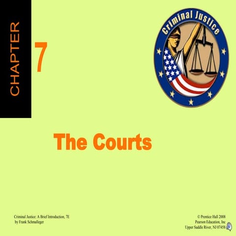 Ch7 the courts | PPTX | Law