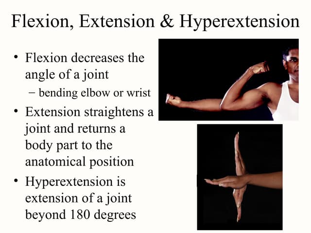 Terminology of movement in anatomy, flexion extension hyperextension ...