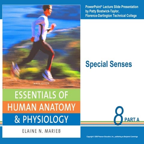 Ch8ppt special senses 1 | PPT