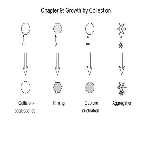 Mutation breeding in Plants | PPTX