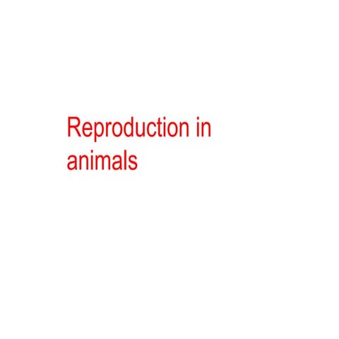 ANIMAL REPRODUCTION grade 5--------.pptx