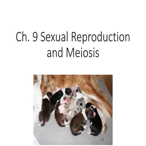 Ch 9 Sex And Meiosis Ppt