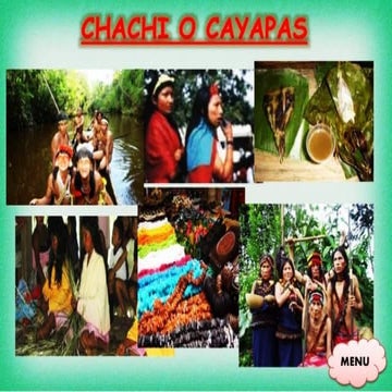 culturas Chachi awa | PDF