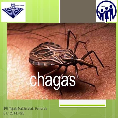 Chagas | PPTX
