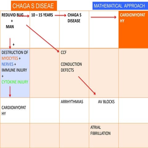 Chagas disease | PPTX