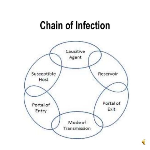 Chain of Infection | PPTX