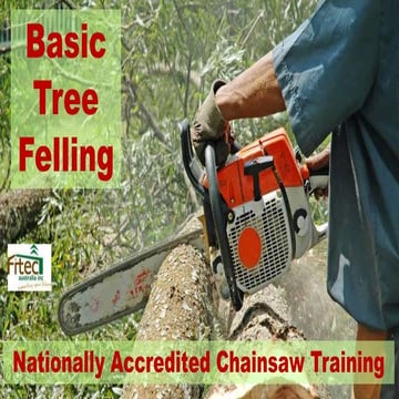 Chainsaw course | PPTX | Woodworking | Arts and Crafts