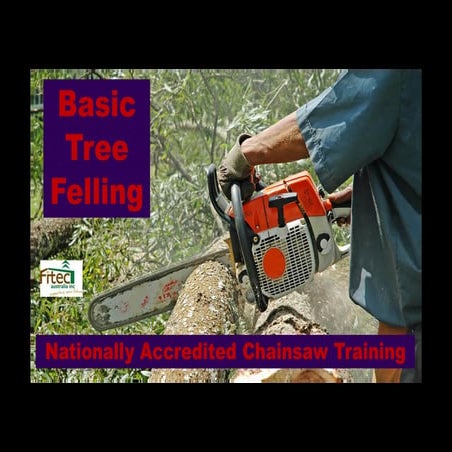 Chainsaw course | PDF