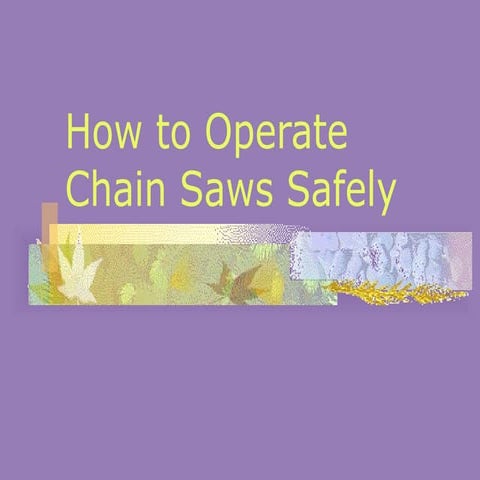 SAFE CHAINSAW OPERATION, BASICS OF CHAINSAW.ppt