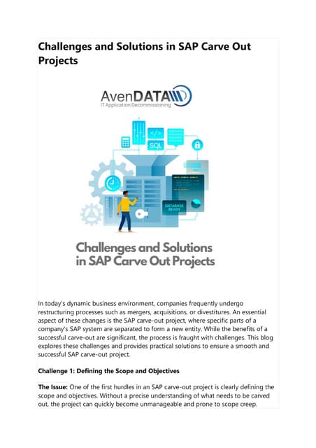 A Step By Step Guide To Successful Data Carve Out In Sap Systemspdf
