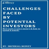 What are the Typical Challenges Faced by Potential Investors? | PDF