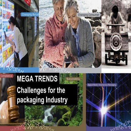 Challenges for the Packaging Industry | PDF