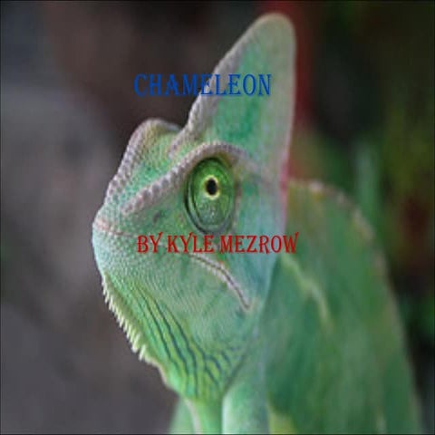 Chameleon | PPT