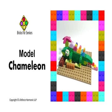 How to Build a Chameleon.pptx