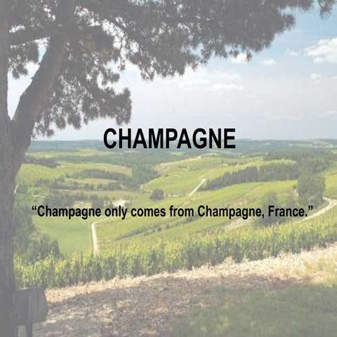 Champagne The Extraordinary Wine | PPT