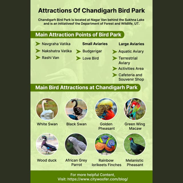 Explore Chandigarh Bird Park Attractions Points | PDF