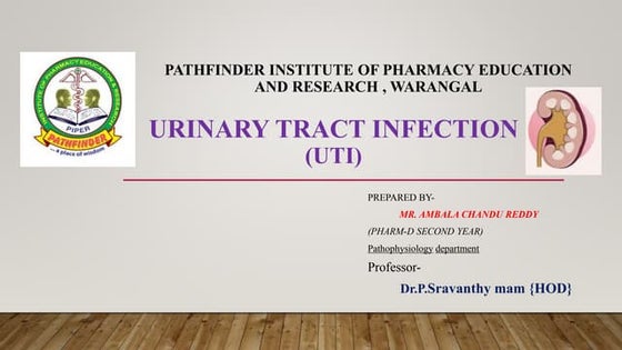 Pathophysiology of Urinary tract infection | PDF | Infectious Diseases ...