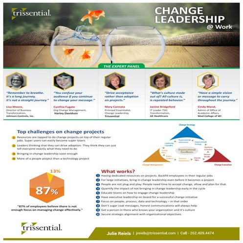 Change Leadership @ Work Infographic | PDF