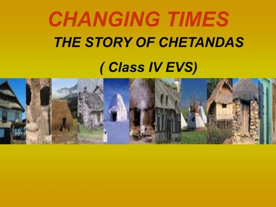 Anita and honeybees | PPT