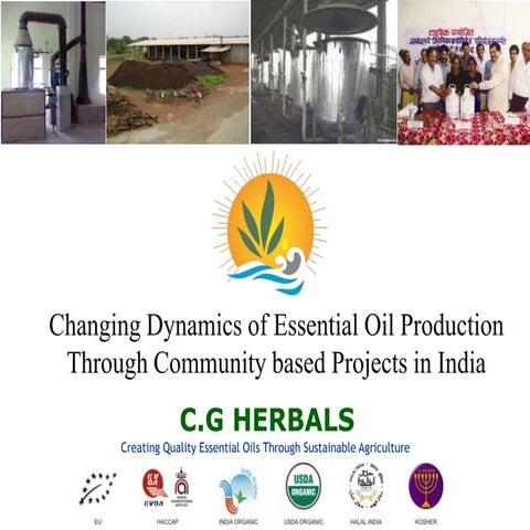 Changing Dynamics Of Essential Oil Production Through Community Based ...