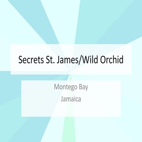 Secrets Wild Orchid | PPT | Free Download