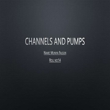 channel and pump.pptx