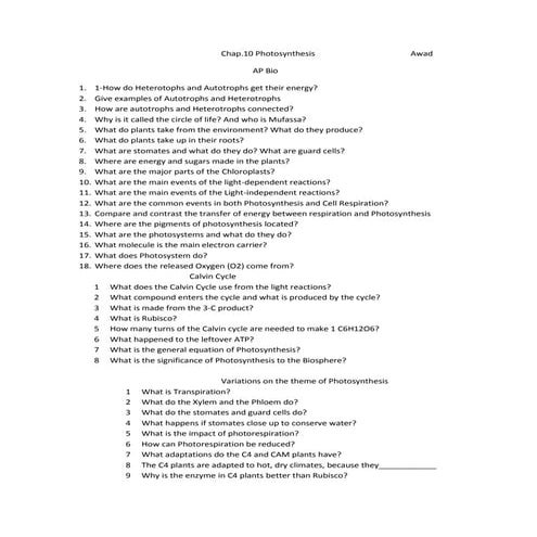 Chap.10 photosynthesis questions | DOCX