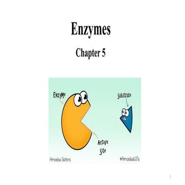 Chap. 5 enzymes | PPT