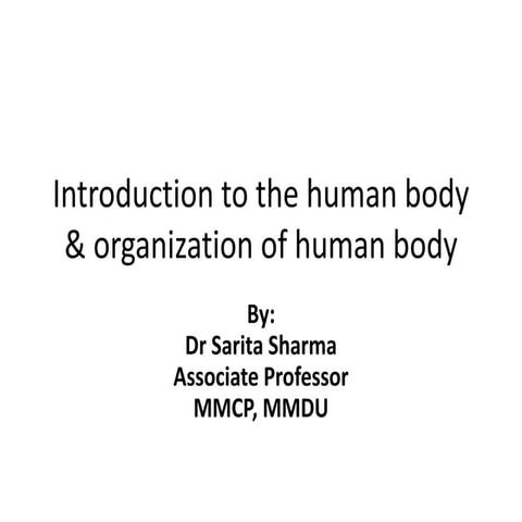 Human body.pptx