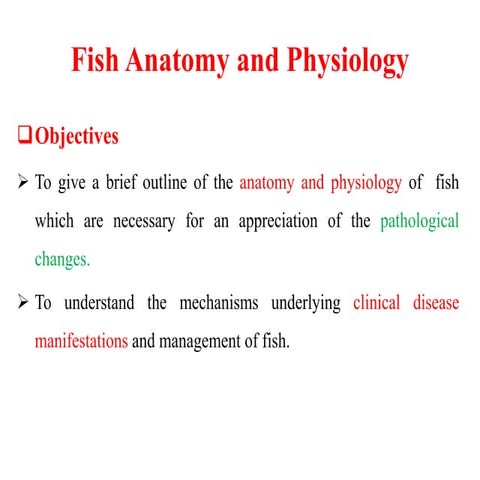 Chap-4 Anatomy and Physiology of Fish.pptx