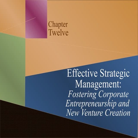 chap012.ppt_Strategic Management_The Competitive Advantage | PPT