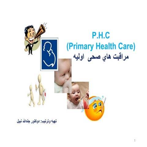 PHC or Primary Health Care in public health | PPTX