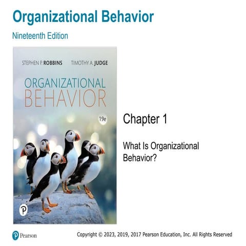 organizational Behaviour Chapter Number One | PPTX