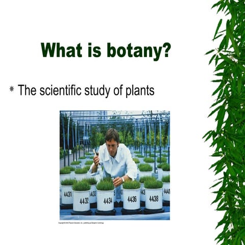 Chap1 botany | PPT