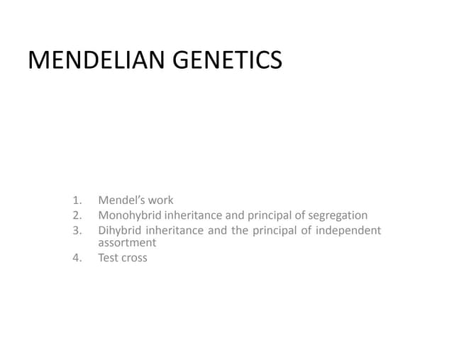 Mendelian Dihybrid111111111111111111.ppt