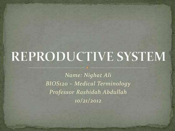 The reproductive system | PPTX | Pregnancy | Reproductive Health