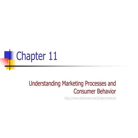 Chap 11 understanding marketing processes and consumer behavior | PPTX
