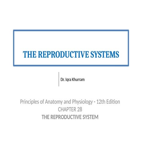 chap 16- The Reproductive system (2) - Copy.pptx
