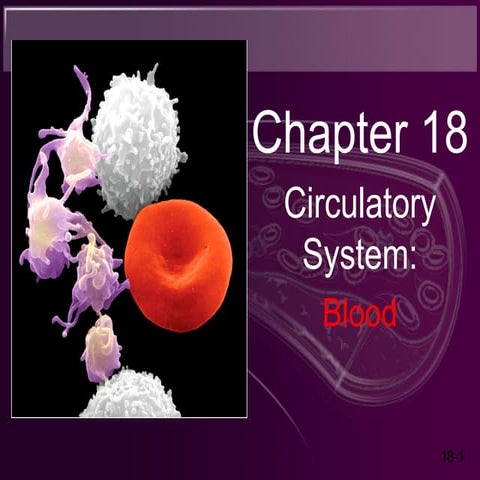 Chap18 blood | PPT