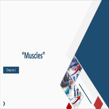 Muscles | PPTX