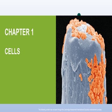 Chapter One, Title Cell Grade 7 Slides.pptx