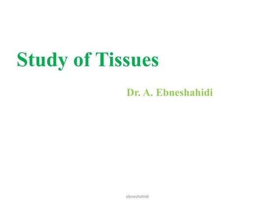 Tissues, types and functions(Anatomy)- Easy explanation | PDF ...