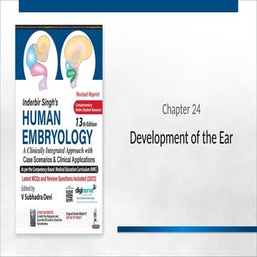 Chap 24.pptx development of external middle and inner ear | PPTX