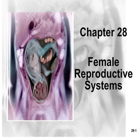 Chap28 powerpoint | PPT | Pregnancy | Reproductive Health