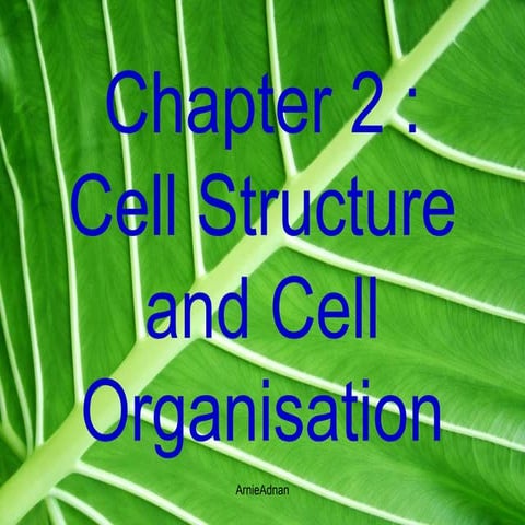 Ultra structure of cell | PPT