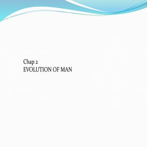Early humans | PPT